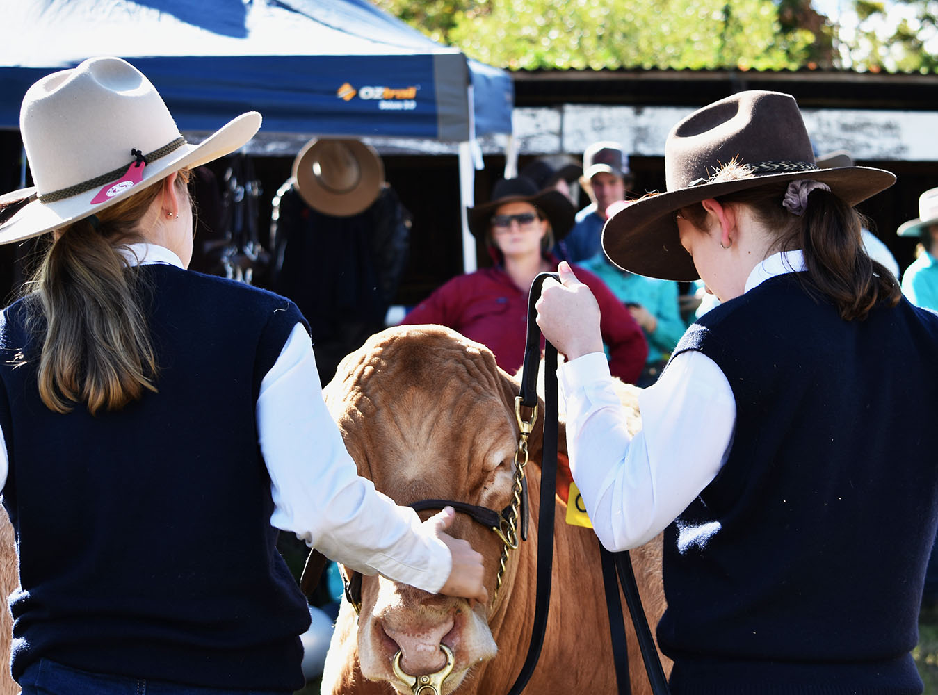 Reflection On Boonah Show - Tamborine Bulletin