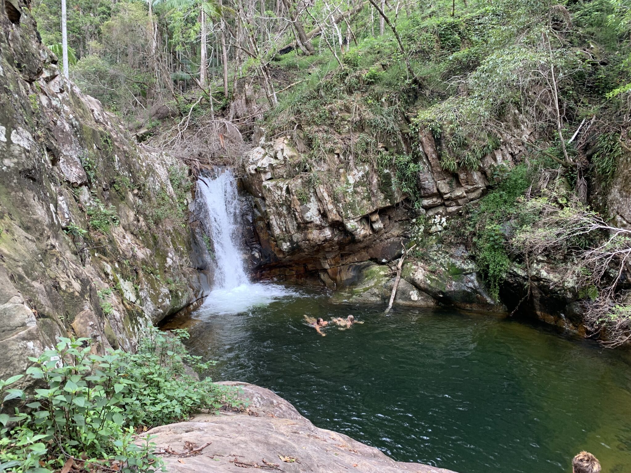 Hiking program in the running for second award - Tamborine Bulletin