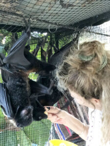 Mats For Bats! - Tamborine Bulletin
