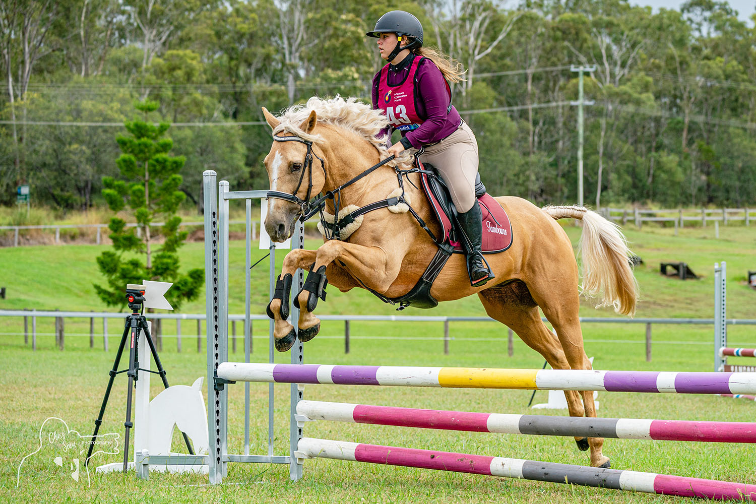 Annual Showjumping Event Hosted In Tamborine - Tamborine Bulletin