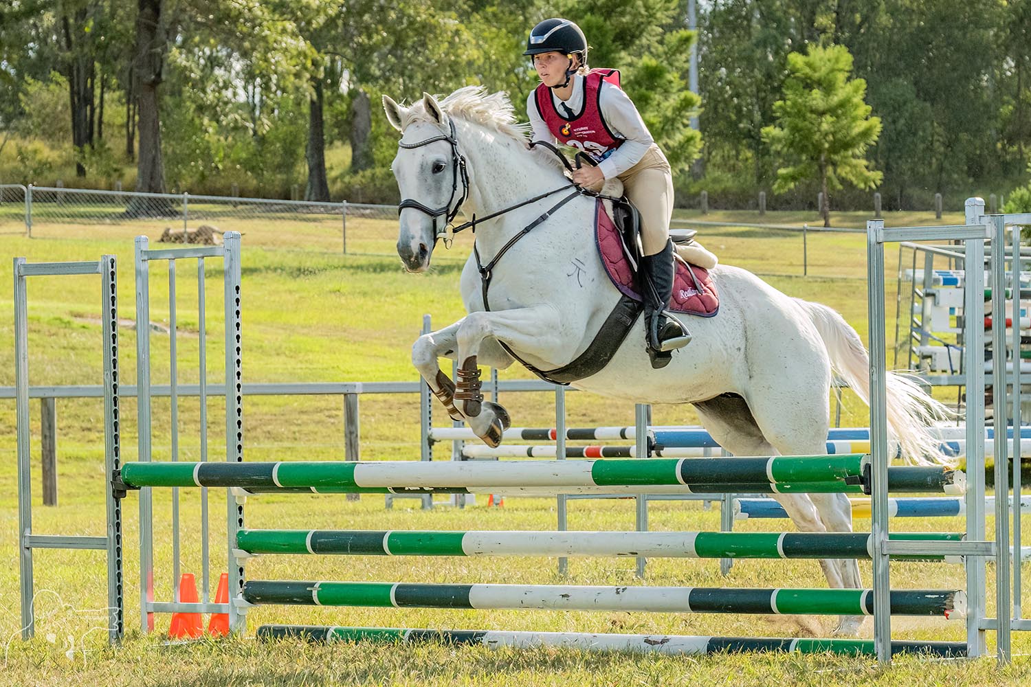 32 Clubs Hosted In Tamborine! - Tamborine Bulletin